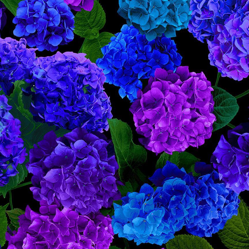 MIdnight Bloom Hydrangea Large - CD3381-HYD – Tom's Sewing